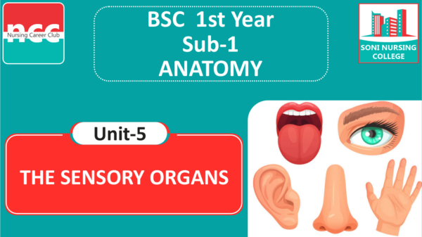 B.Sc. 1.1.5 – THE SENSORY ORGANS - Nursing Career Club